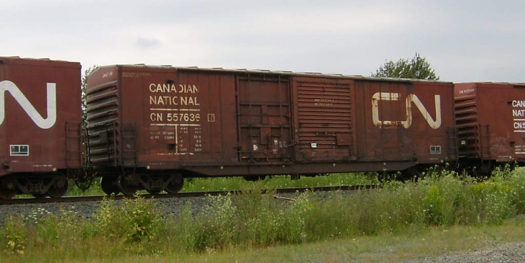 CN Boxcars | Algoma Central in HO Scale