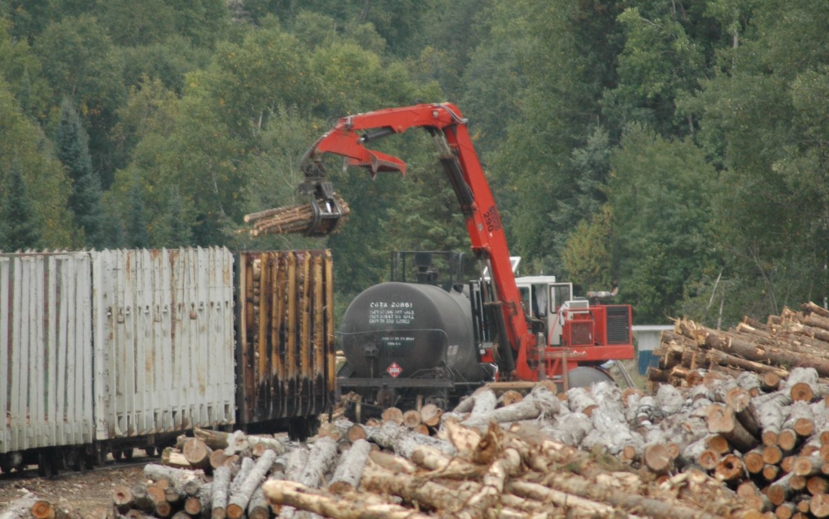 Pulpwood | Algoma Central in HO Scale